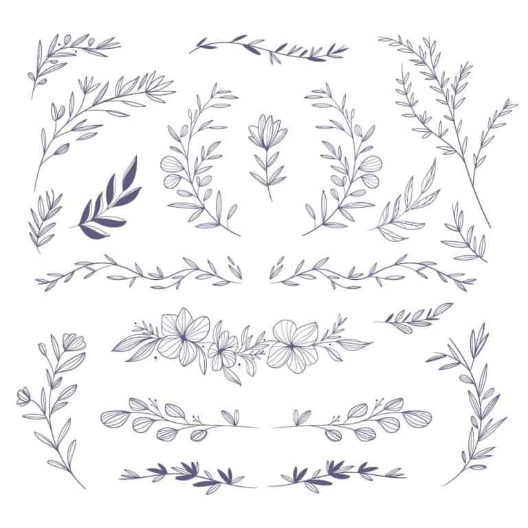 Los mejores adornos para lettering • Materiales de Arte